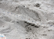 Sand Tracks: Train Beach Activity Inspired by Peter's Railway